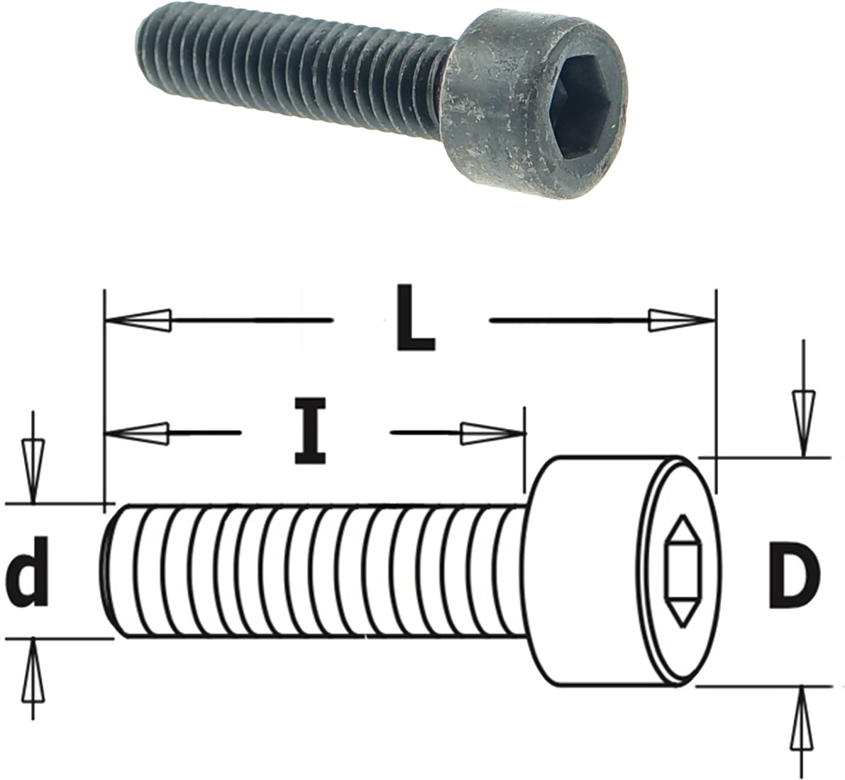 Inbusbout met ronde kop